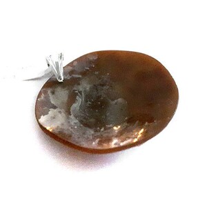 Shell Cameo Pendant Bird Flowers Italian Cameos Jewelry Donadio Cameos ...