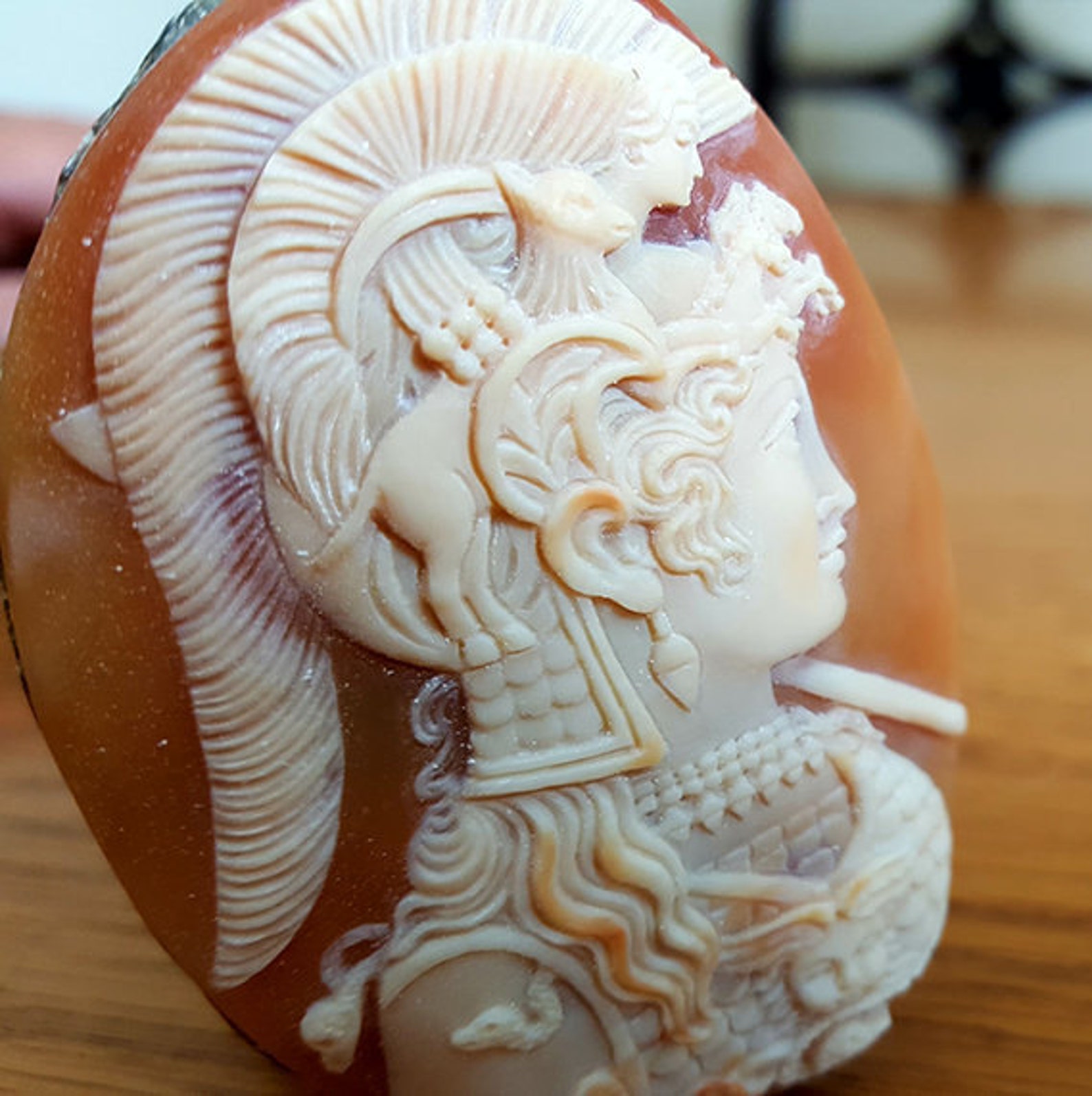 Loose Shell Cameo Athena Profile Minerva Italian Cameo Jewelry | Etsy
