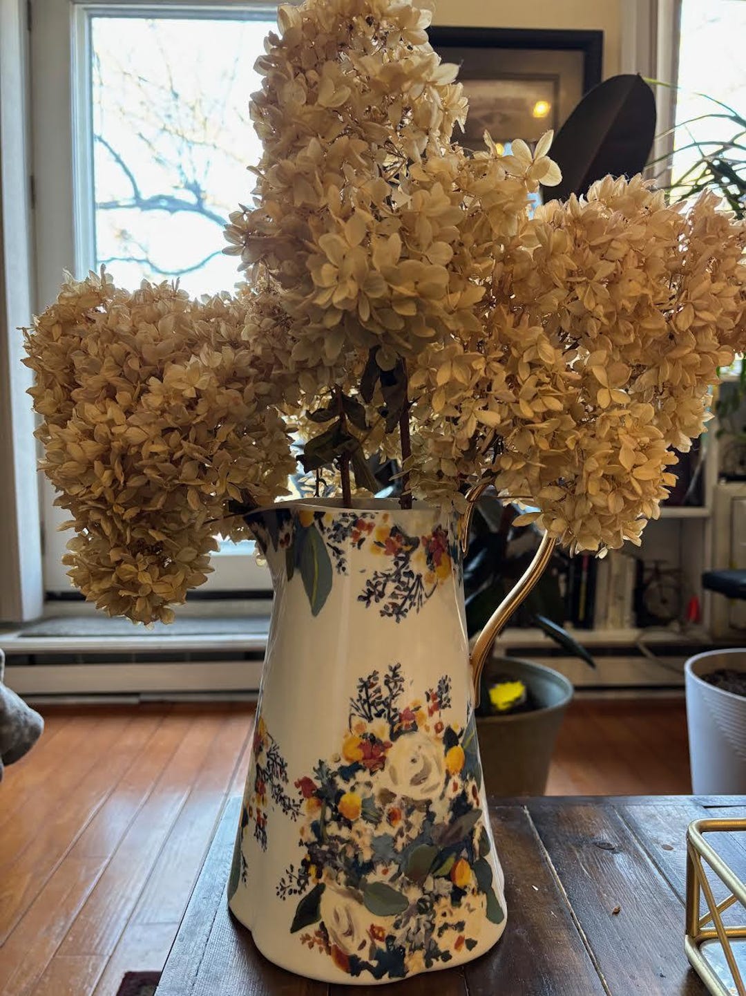 Dried Hydrangeas - Etsy