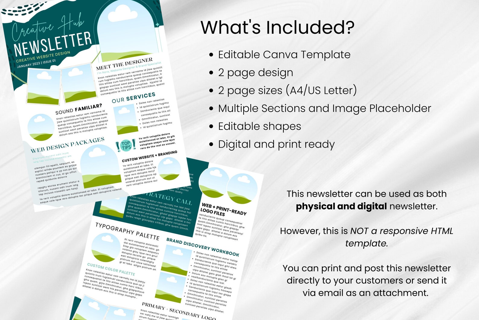 Email NEWSLETTER TEMPLATE Editable on Canva, Digital and Printable ...