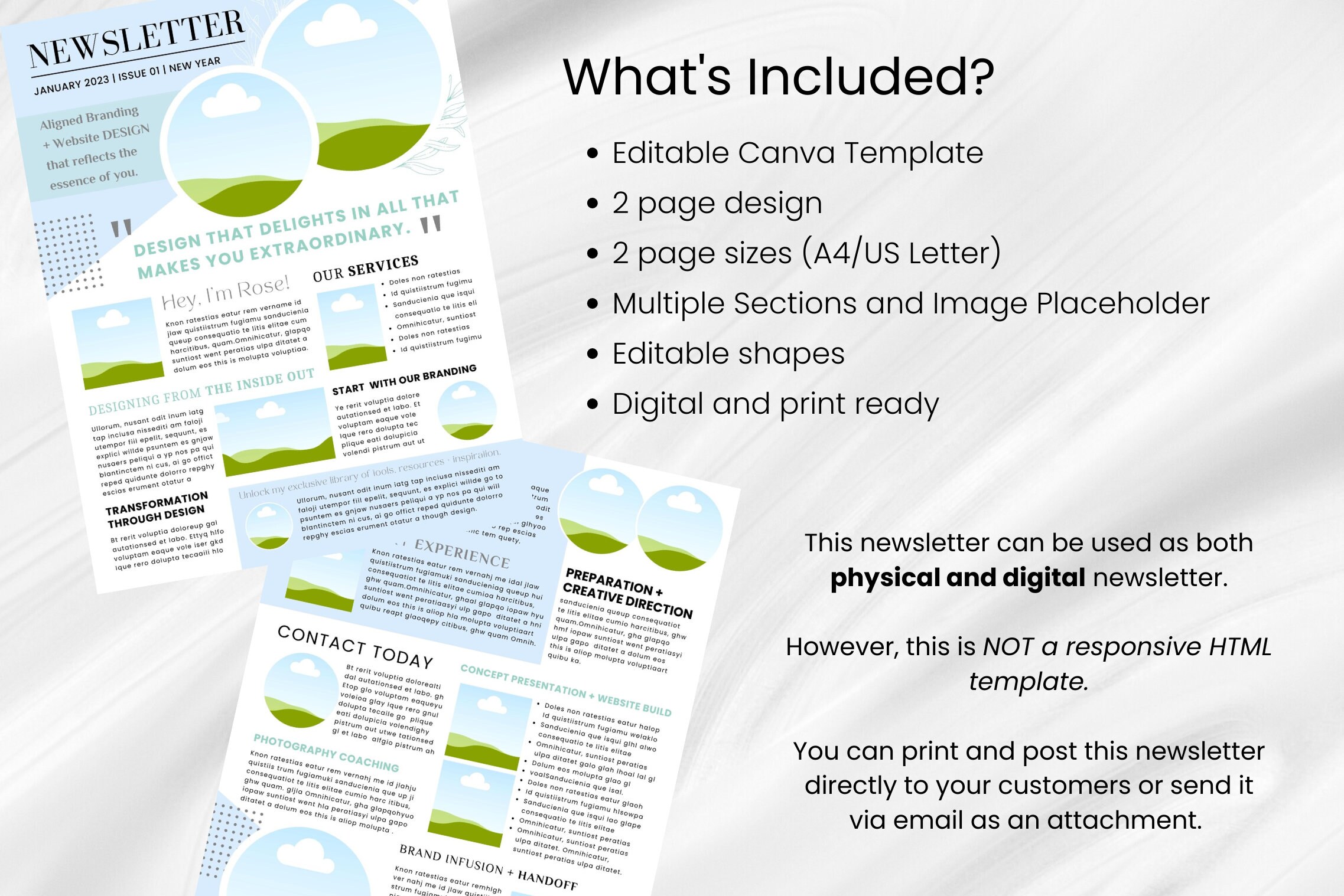 Editable Newsletter Template: Modern Canva Layout (A4 & US Letter) - Etsy