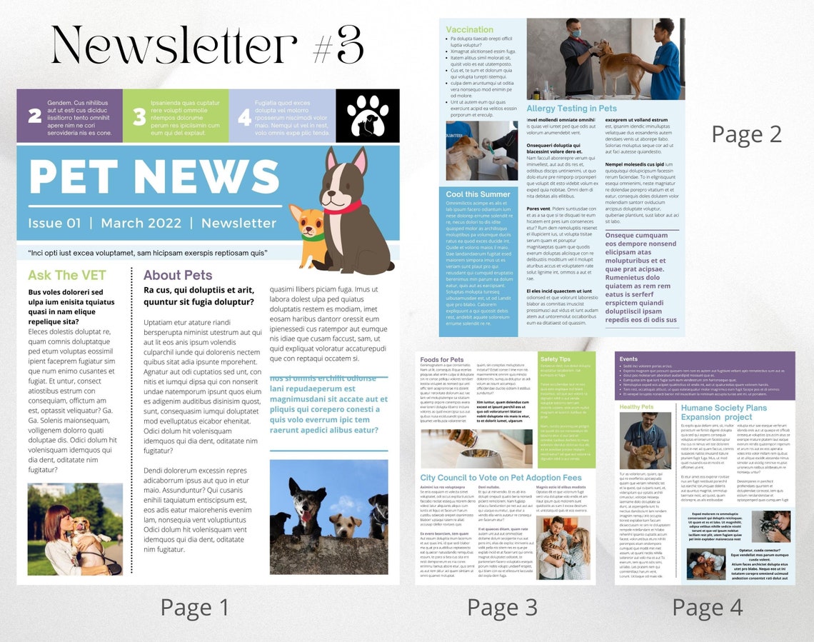 Email NEWSLETTER TEMPLATES Bundle Editable on Canva, Digital and ...