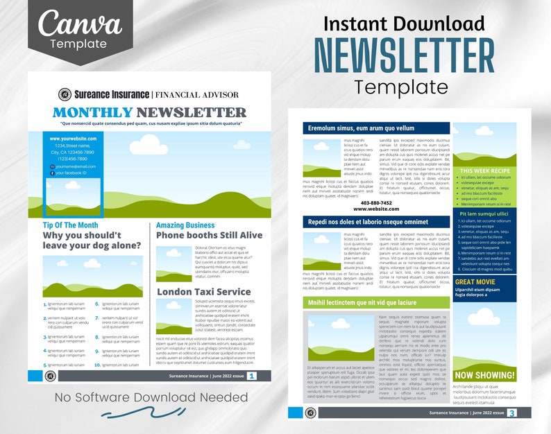 Financial Email NEWSLETTER TEMPLATE Editable on Canva Digital - Etsy