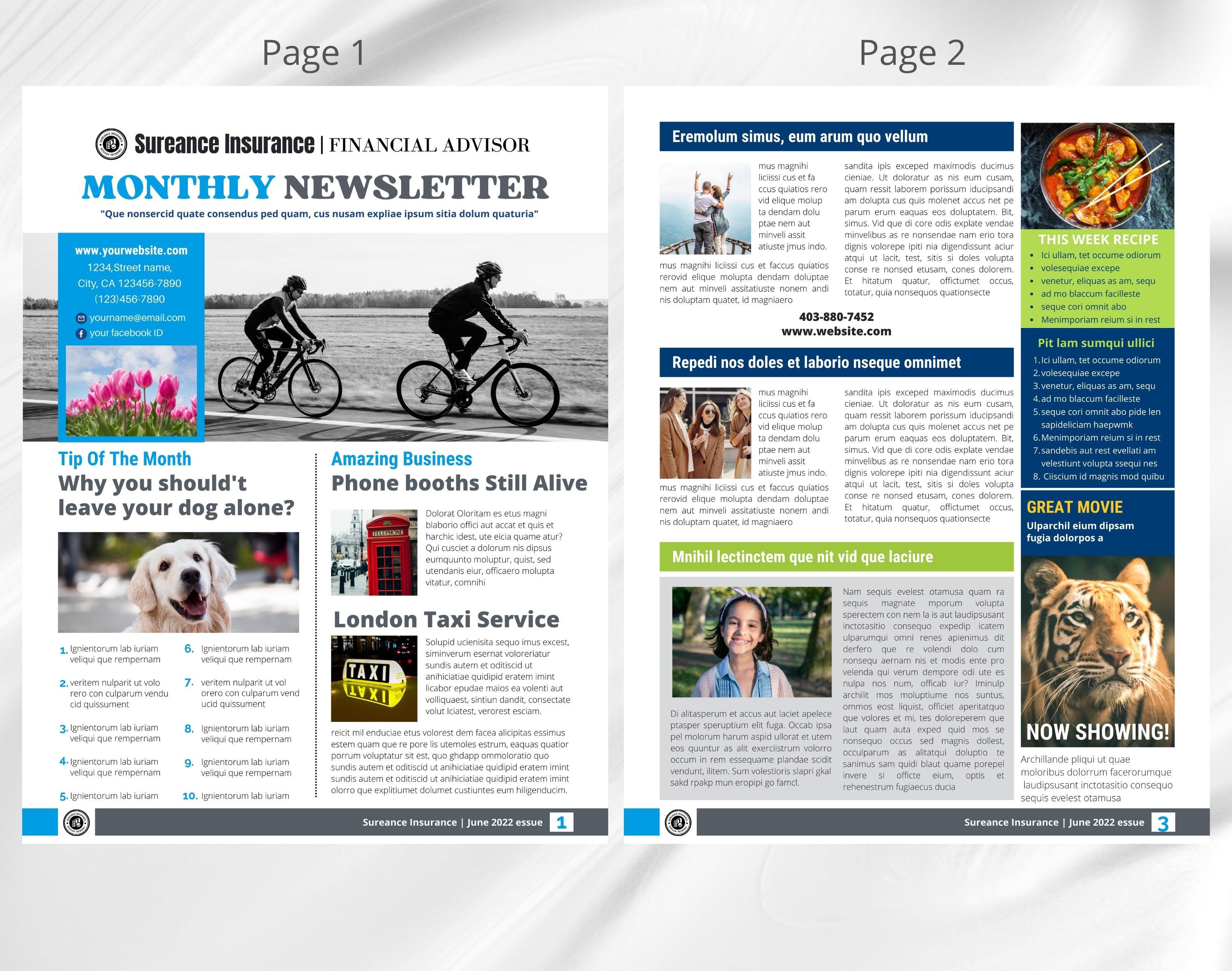 Email NEWSLETTER TEMPLATE Editable on Canva Digital and - Etsy