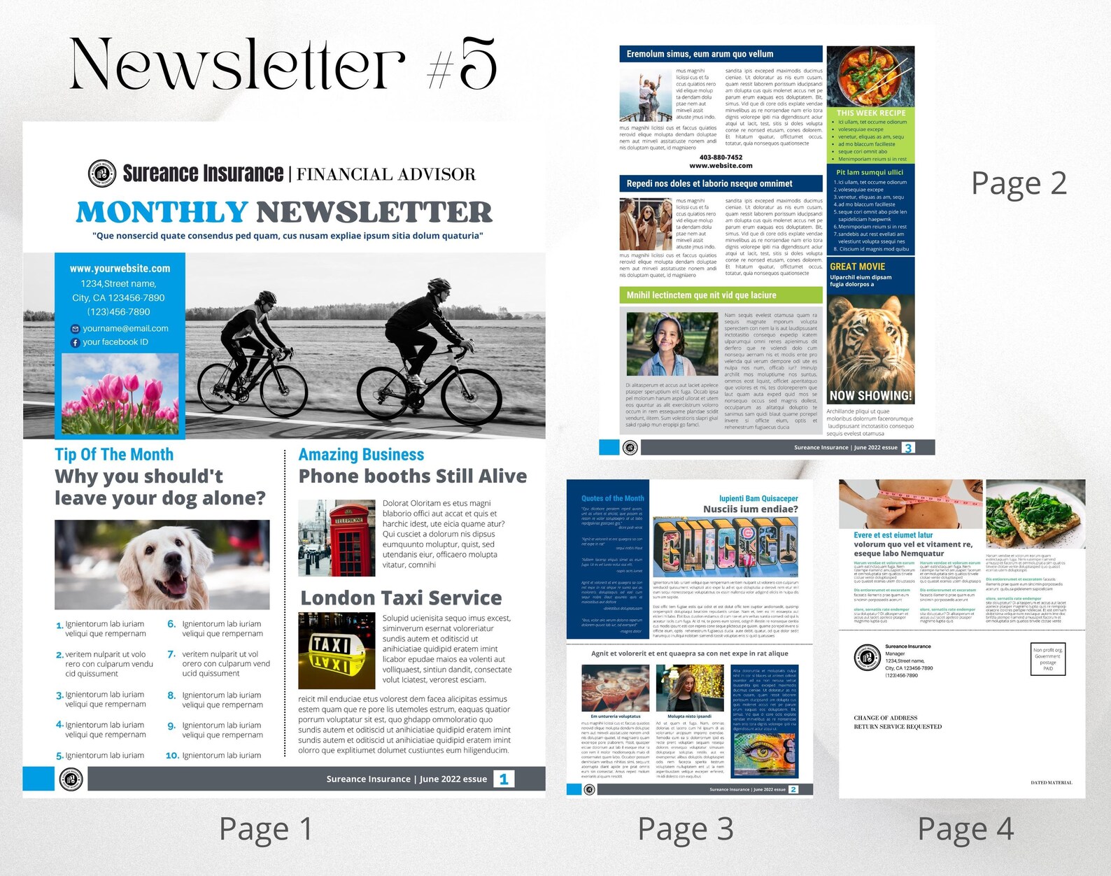 Email NEWSLETTER TEMPLATES Bundle Editable on Canva, Digital and ...