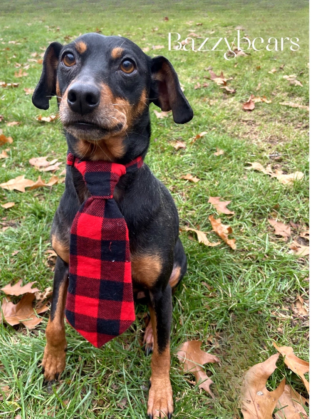 Dog Ties, Human Looking Dog Ties, Smart Dog Ties, Christmas Dog Tie ...