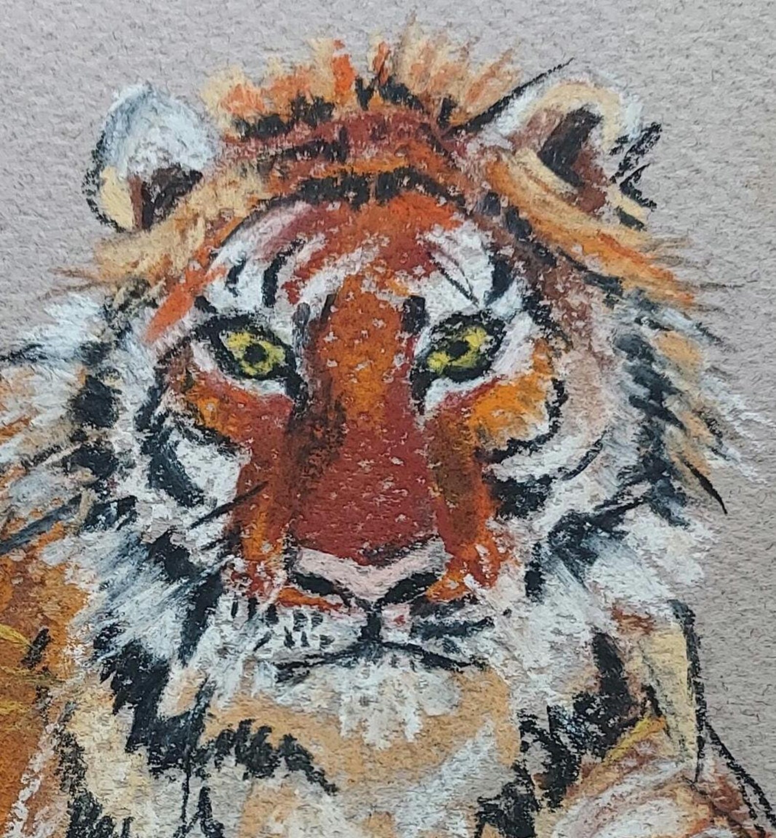 Siberia Tiger Art, Original Pastel Drawing - Etsy