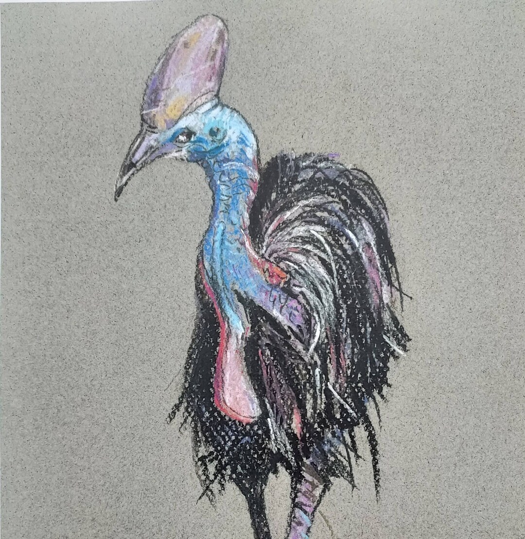 Cassowary PRINT, Pastel Print Large Colorful Bird Print - Etsy