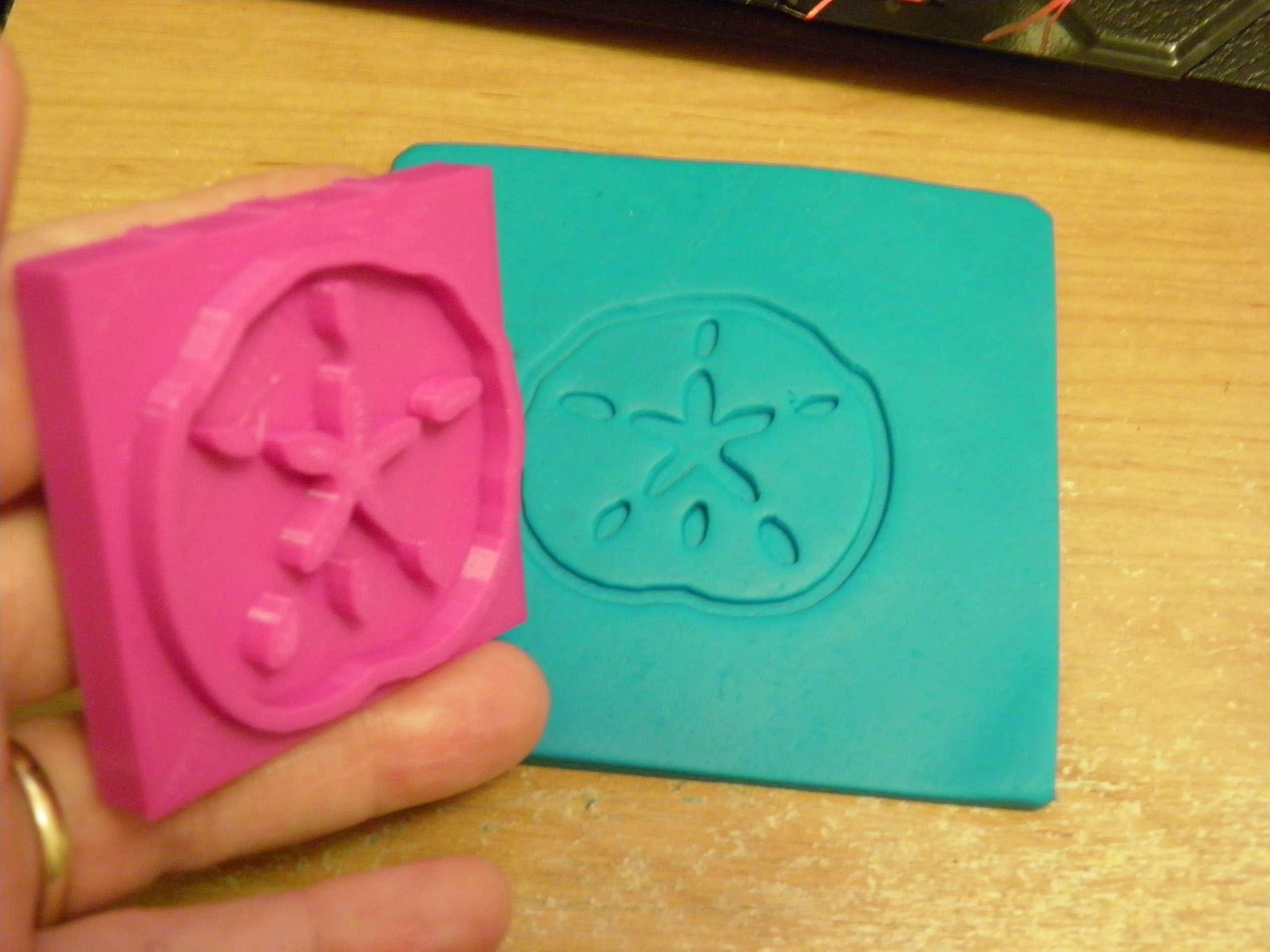 Sand Dollar Stamp Many Sizes - Etsy