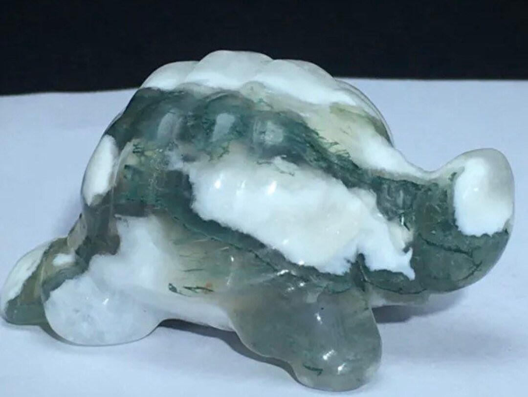 50g Natural Moss Agate Hand Carved Tortoise Turtle - Etsy