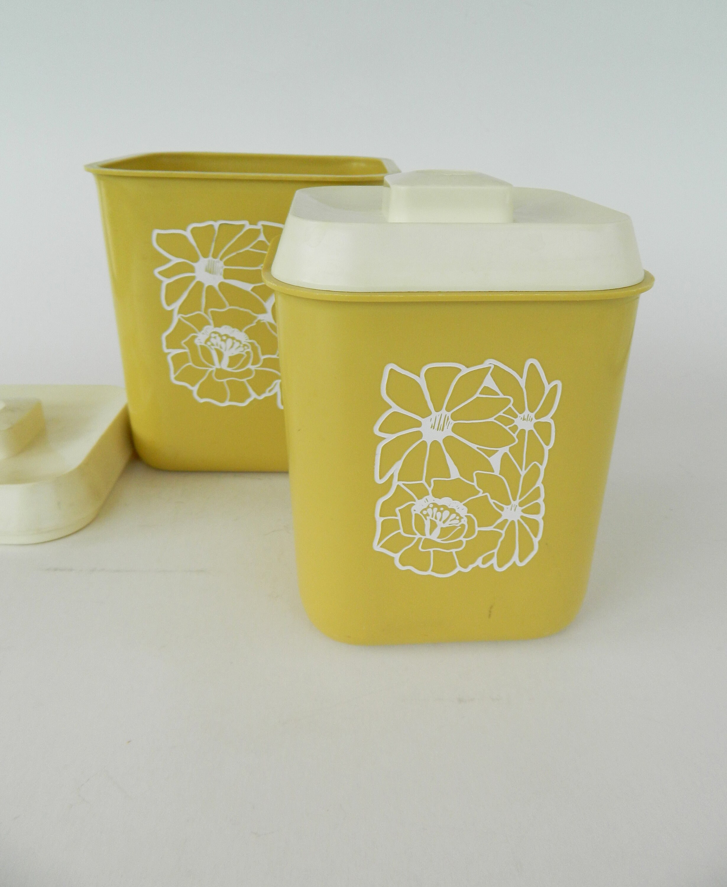 Set of Two American Plastic Canisters, Rustic Kitchenware, Vintage ...