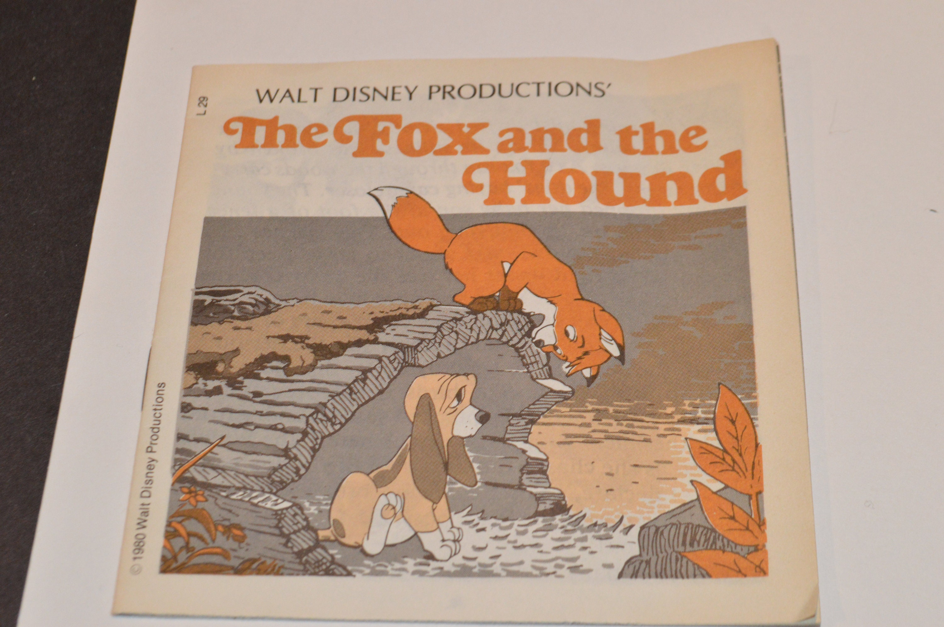 Vintage Disney's the Fox and the Hound View Master Reels L29 - Etsy