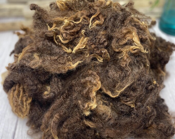 AUTUMN LIGHT, Long Teeswater Wool Locks, Curly Hand Dyed Individual ...