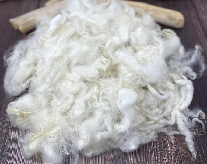 AUTUMN LIGHT, Long Teeswater Wool Locks, Curly Hand Dyed Individual ...