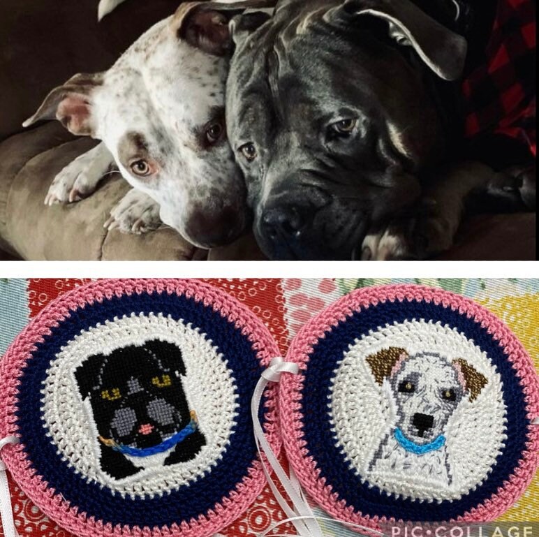 Yarmulke Dog