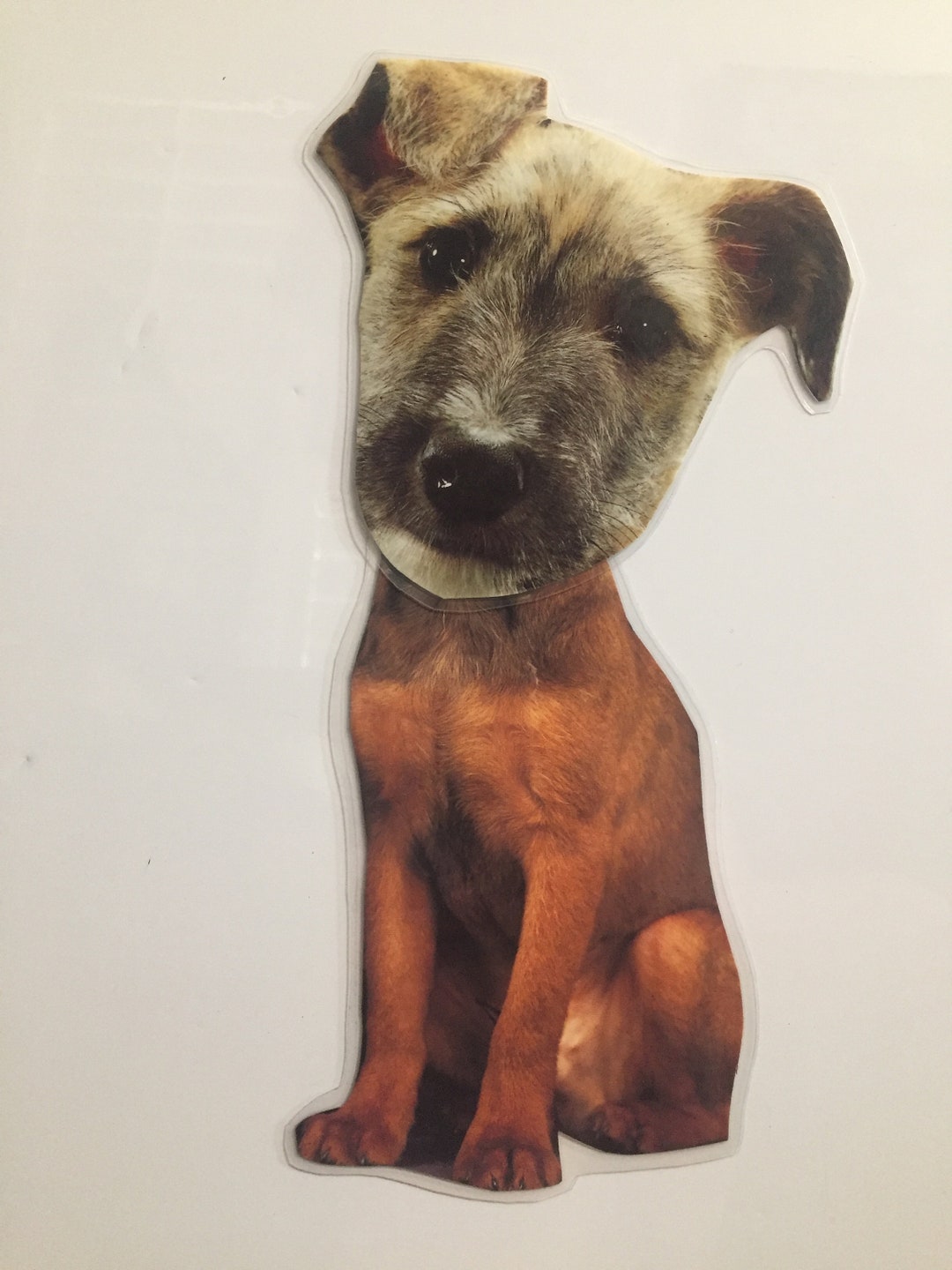 Dog Magnets With 3 Interchangeable Heads! Unique and Fun, Quirky ...