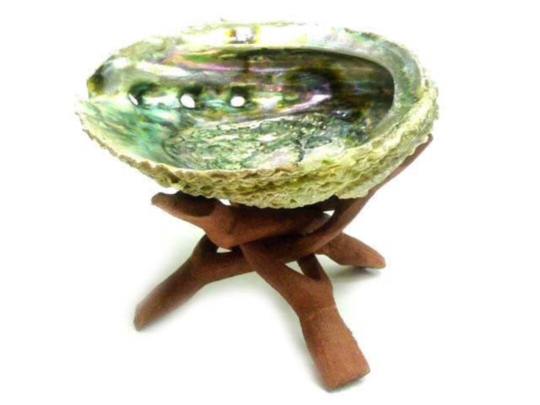 Polished Abalone Shell With Wood Tripod Stand: Natural Smudge Bowl Gift ...