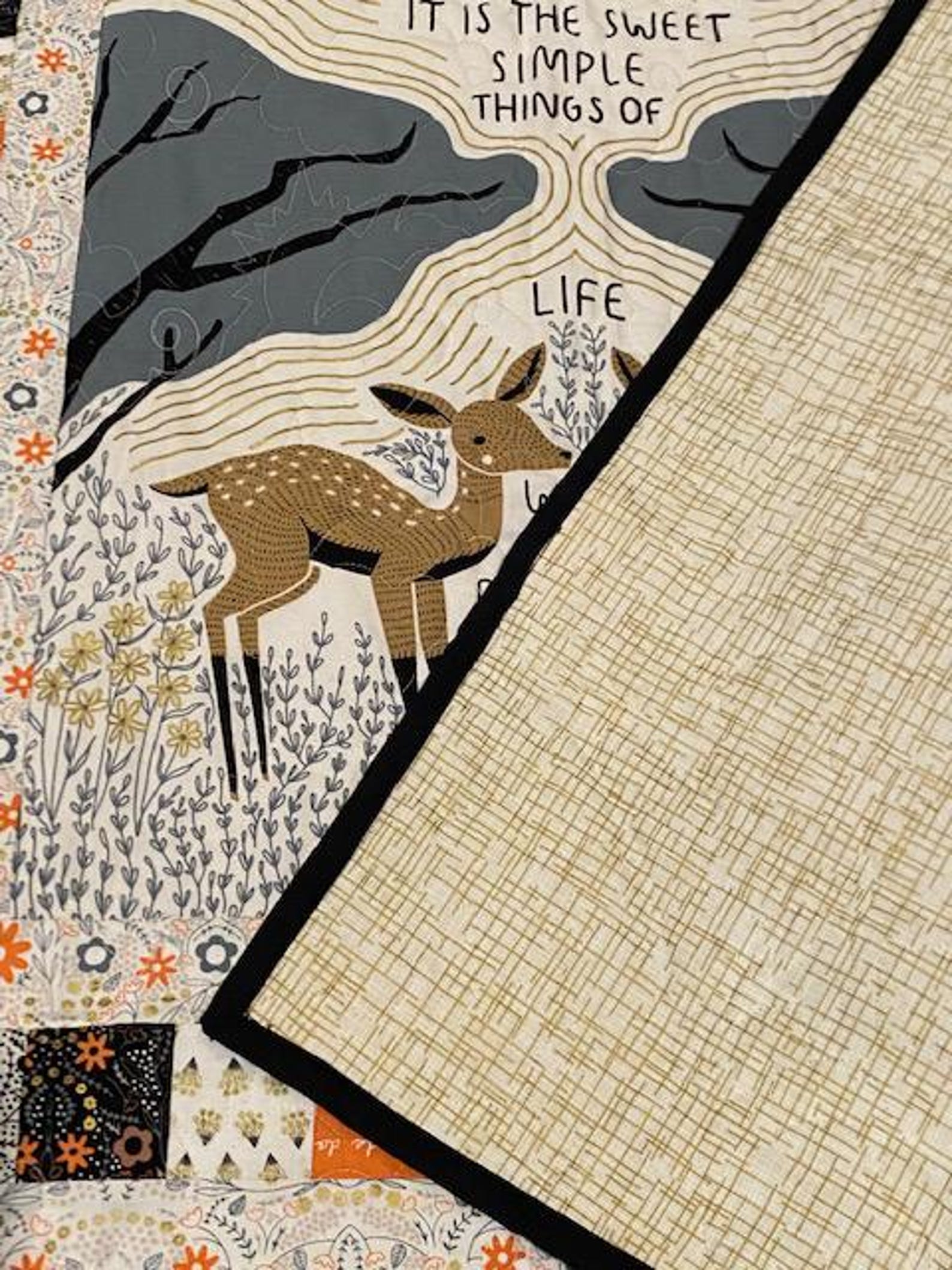 Moda Fabrics Gingiber Dwell in Possibility Panel Quilt - Machine ...