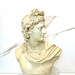 Large Vintage Composite Neoclassical Bust of Apollo Mid Century - Etsy