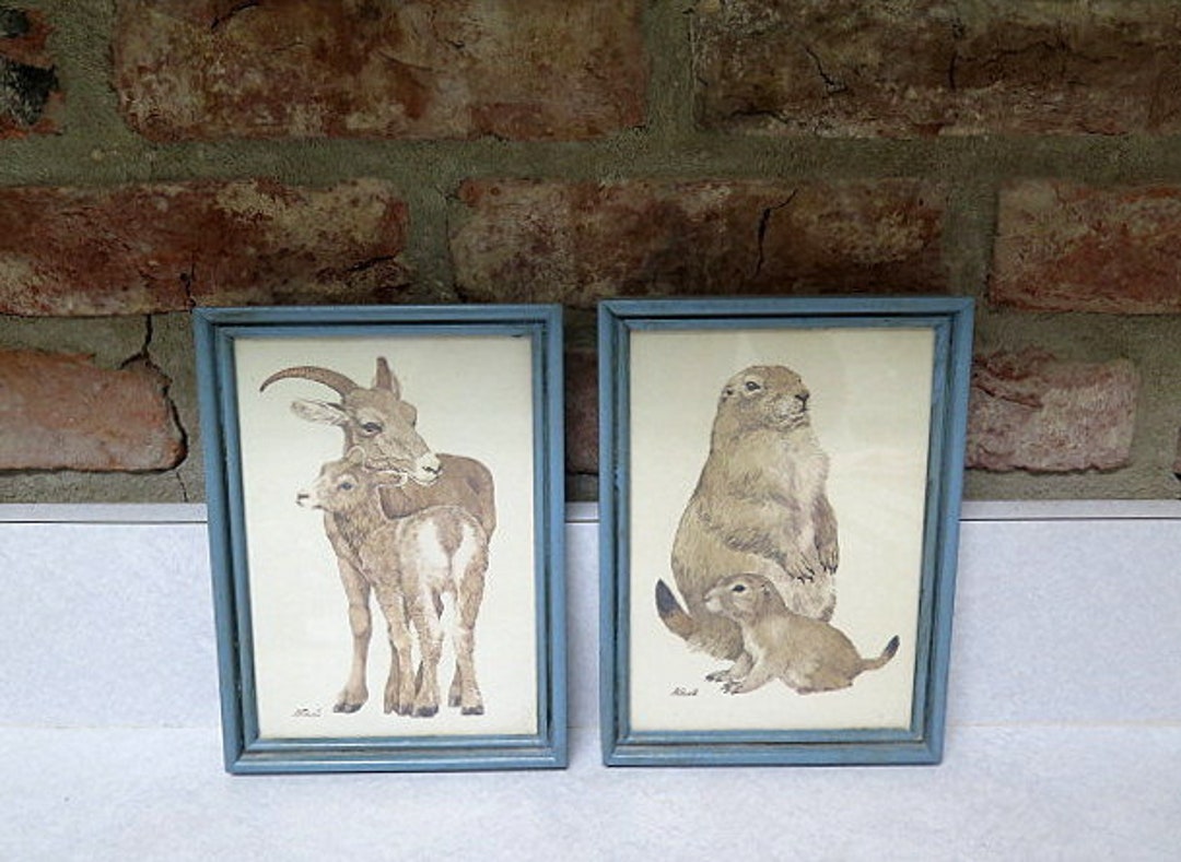 Vintage Linda K Powell Framed Nature Prints Blacktail Prairie Dogs and ...