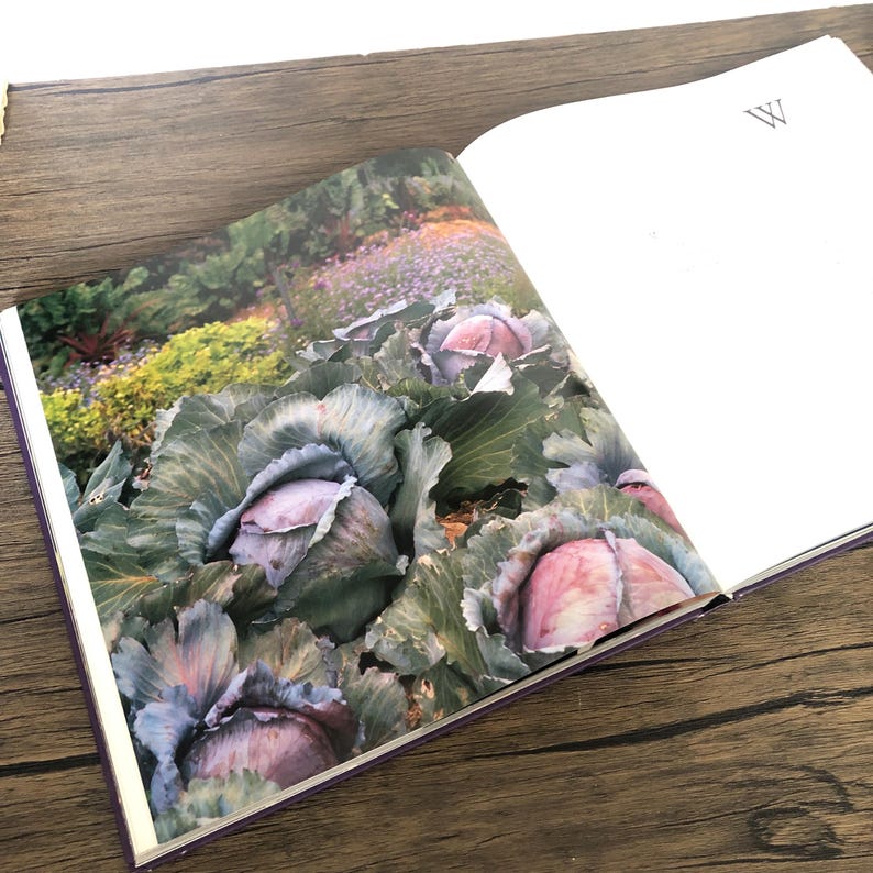 SIGNED Molly Chappellet A Vineyard Garden Hardcover - Inscribed by ...