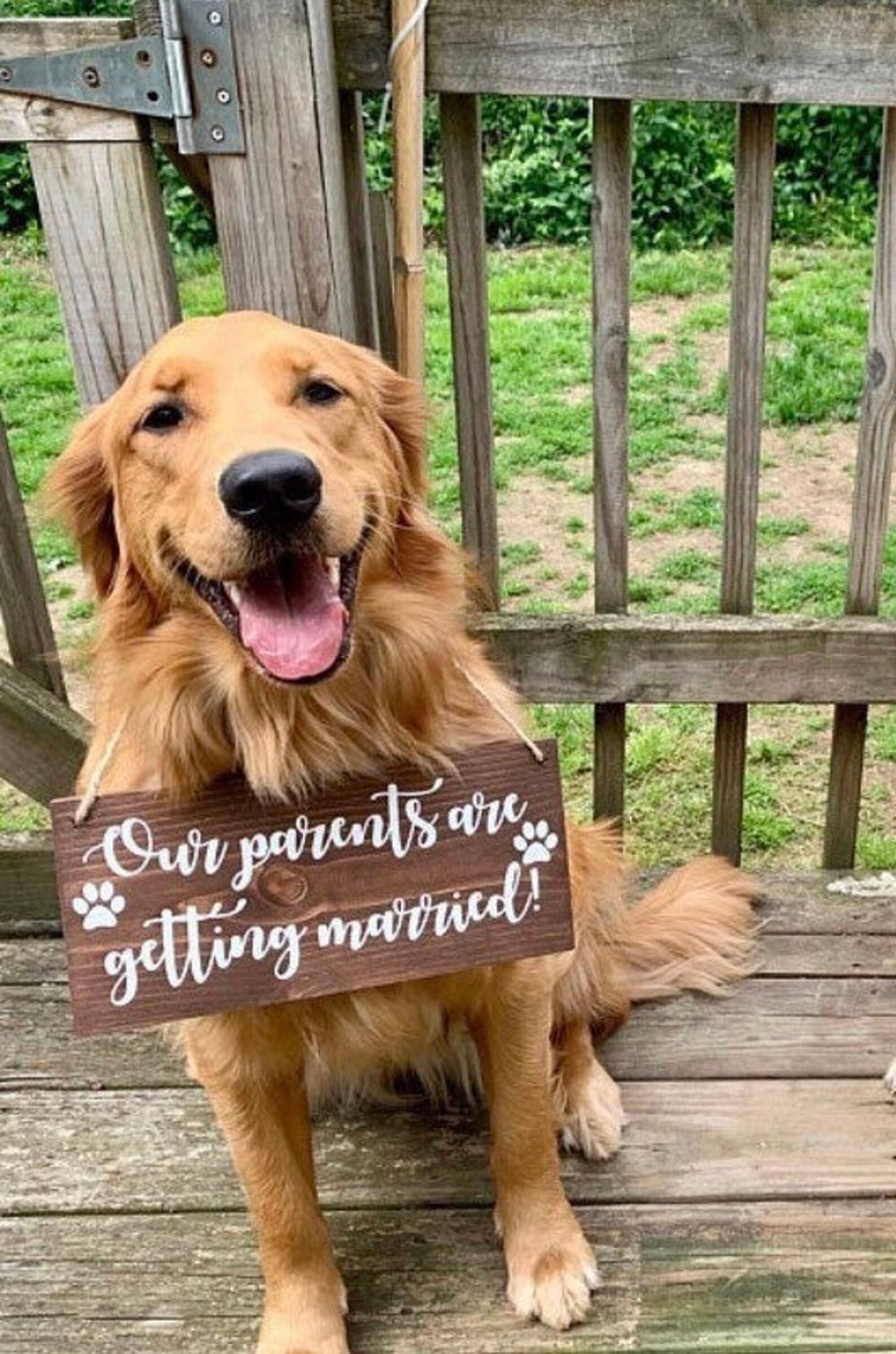 Our Parents Are Getting Married Sign-save the Date-save the | Etsy