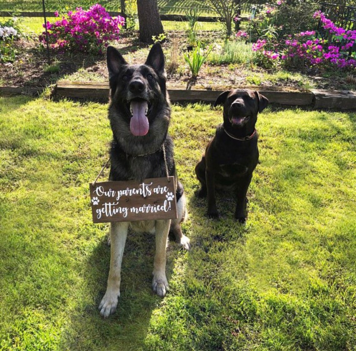 Our Parents Are Getting Married Sign-save the Date-save the | Etsy