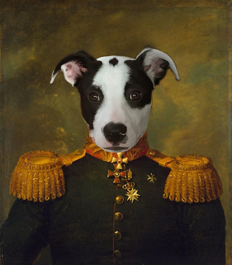 Pet General Painting Personalized Custom Pet Portrait in - Etsy