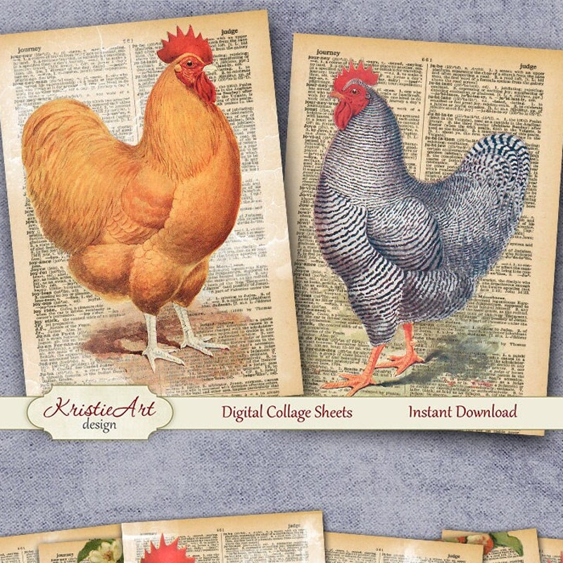 Chicken Collage - Etsy