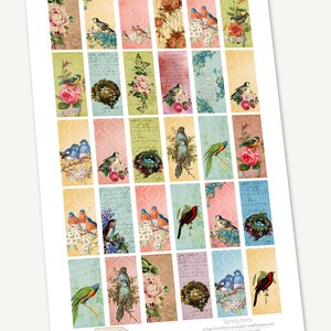 Spring Birds Digital Collage Sheet PR015 Printable Download 1x2 Inch ...
