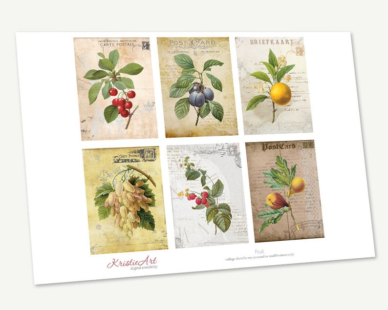 Digital Image Fruit Cards - Digital Collage Sheet, Printable Download ...