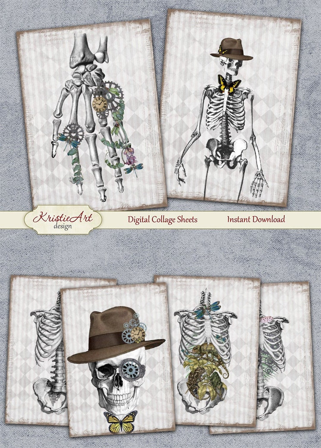 Steampunk Skeleton, C240, Skeleton Cards - Etsy
