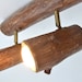 Track Ceiling Light From Natural Log, Handmade Driftwood Light, Wooden ...