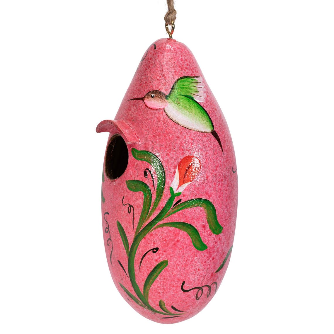 Hummingbird - Painted Gourd Birdhouse - Etsy