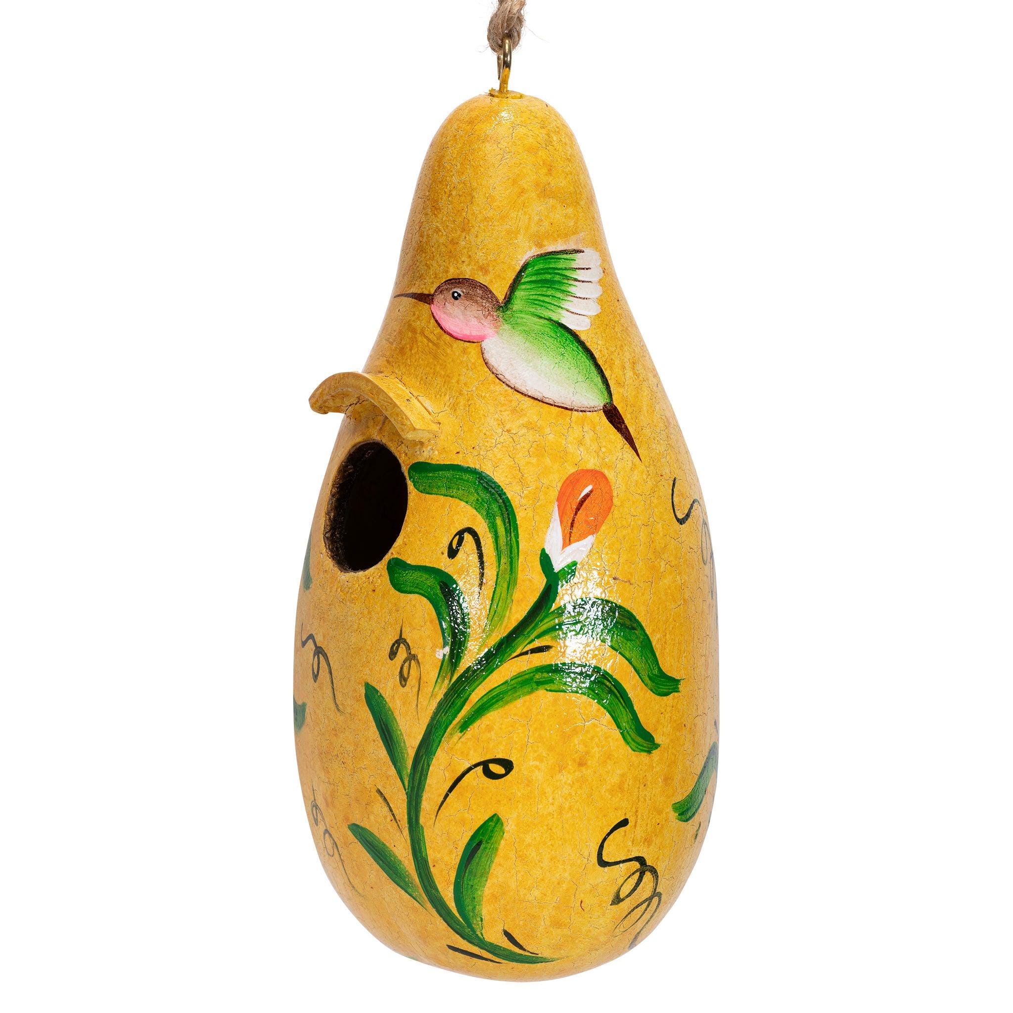 Hummingbird - Painted Gourd Birdhouse - Etsy