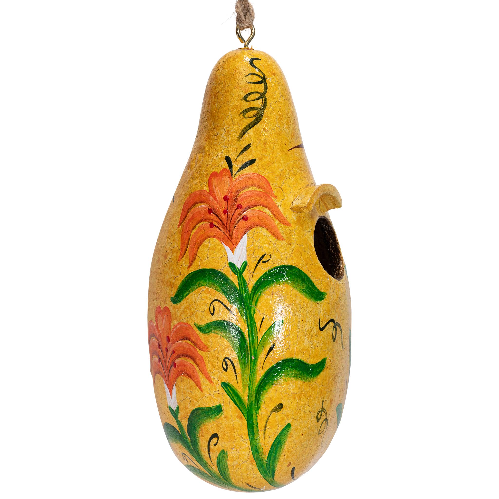 Hummingbird - Painted Gourd Birdhouse - Etsy