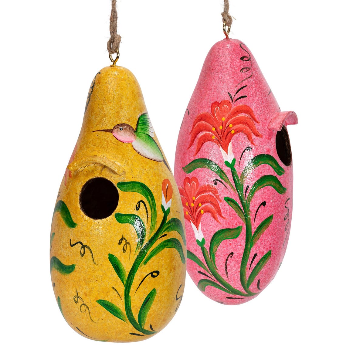 Hummingbird - Painted Gourd Birdhouse - Etsy