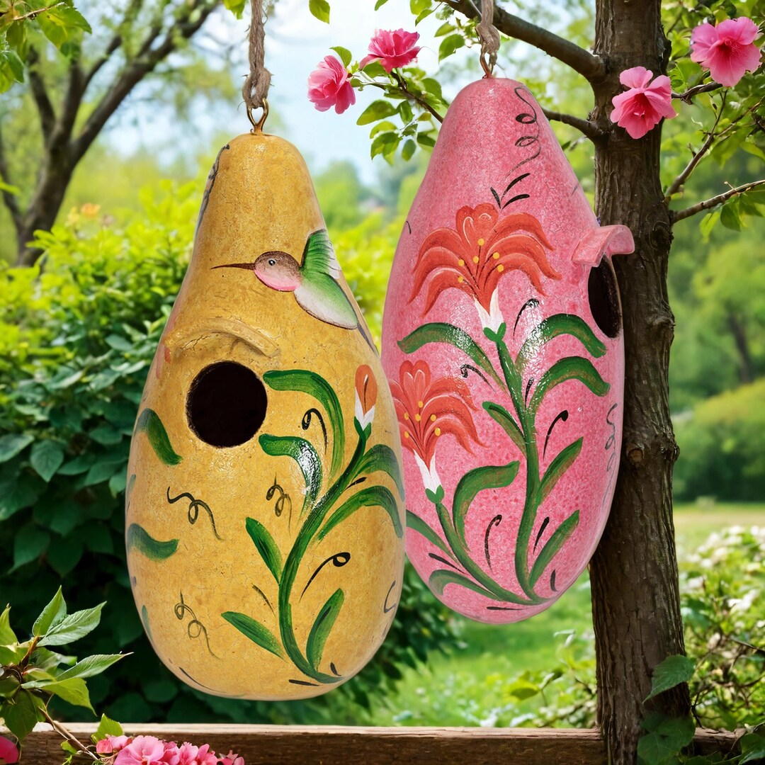 Hummingbird - Painted Gourd Birdhouse - Etsy