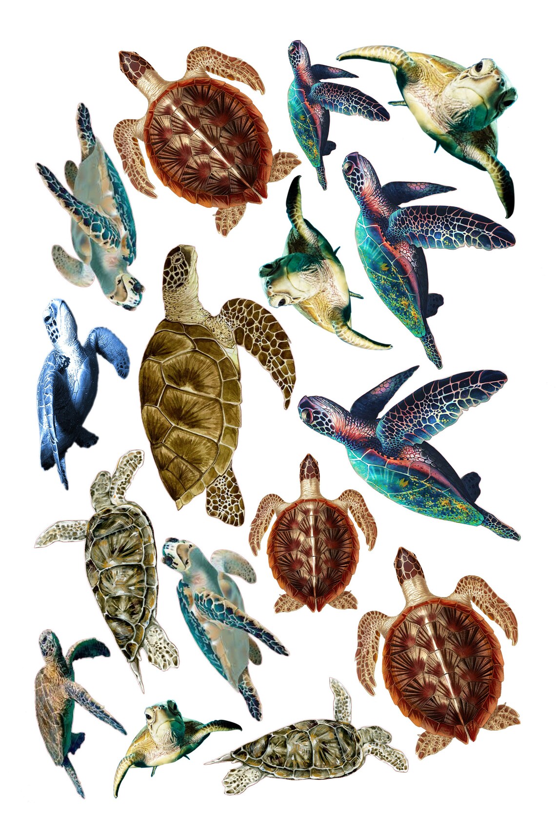 Sea Turtle Wall Decals Fabric Wall Decals 16 Tropical Turtle - Etsy