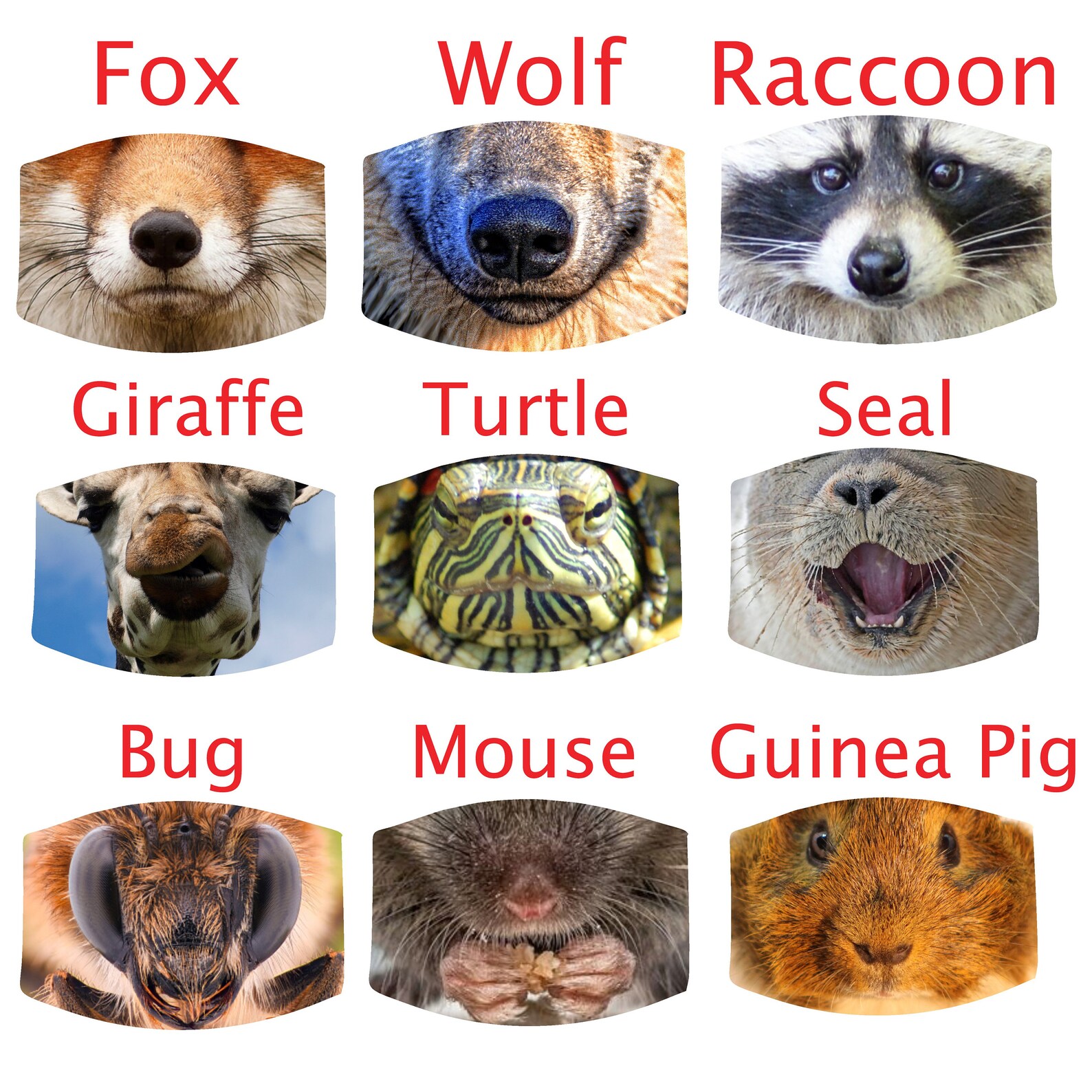 Animal Face Mask Adult Mask Childrens Mask Animal Lovers | Etsy