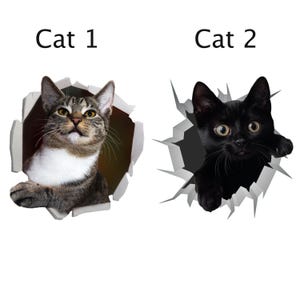 3D Wall Decal, Cat in Hole Decal, Funny Wall Sticker, Kids Room Decal ...