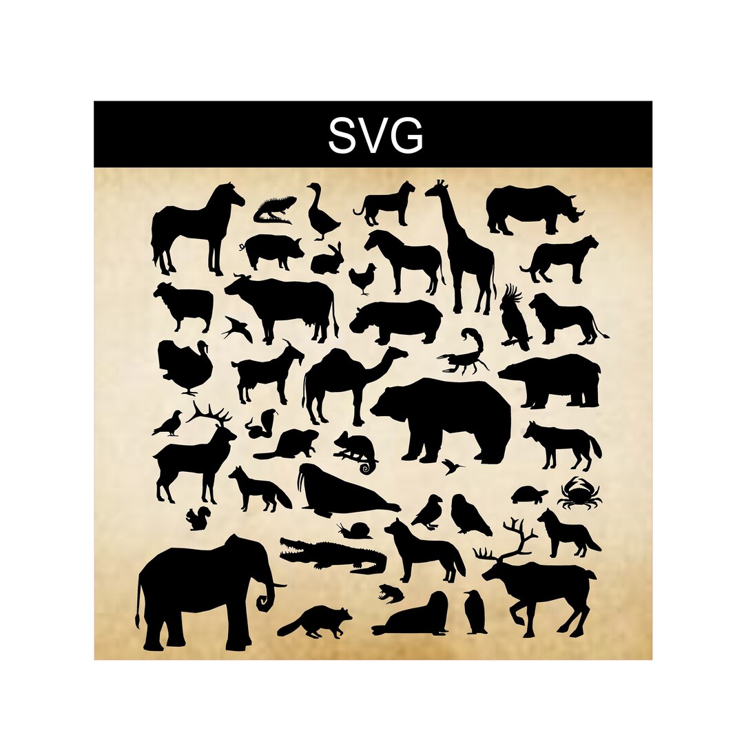 SVG Animal Bundle, Digital Clip Art, Wildlife SVG Bundle, Animal ...
