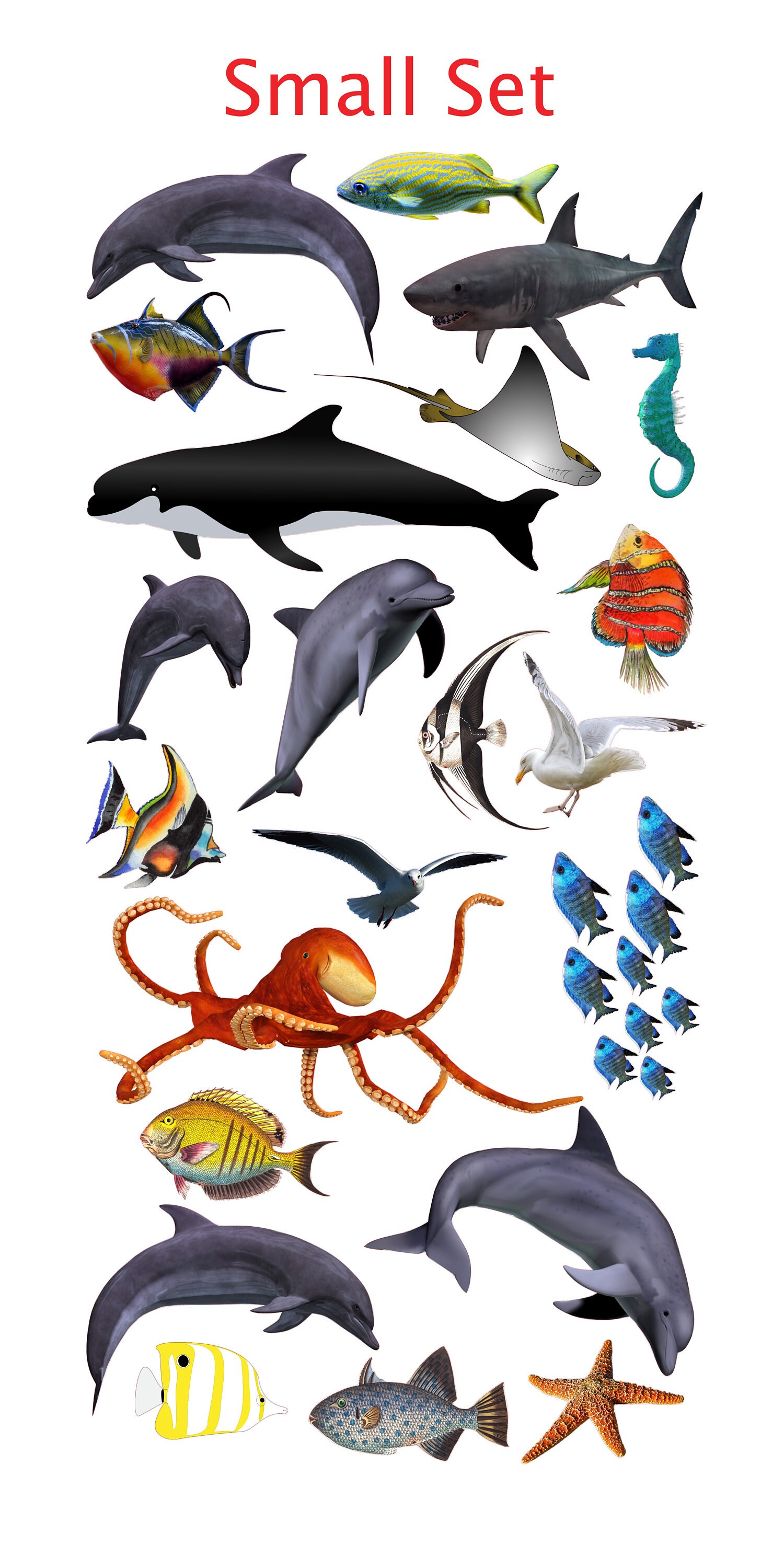 Sea Life Wall Decals Ocean Life Decals Tropical Wall Decor - Etsy