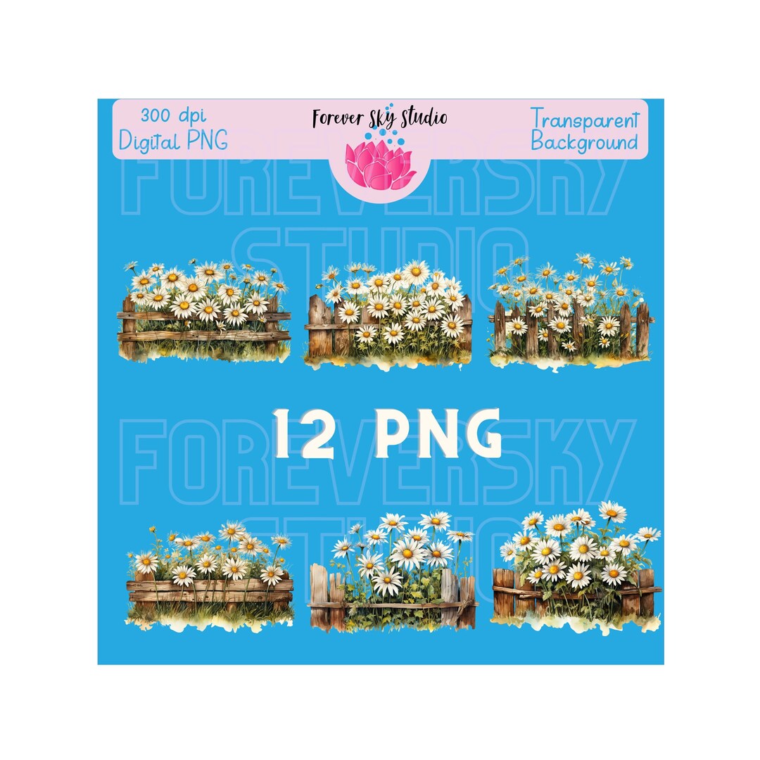Daisy Clip Art, Commercial Use, PNG Daisies, Fence Row Flowers, Country ...