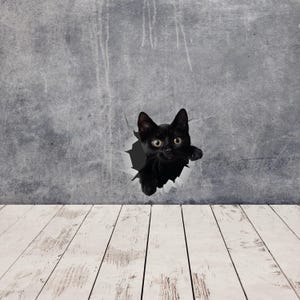 3D Wall Decal, Cat in Hole Decal, Funny Wall Sticker, Kids Room Decal ...