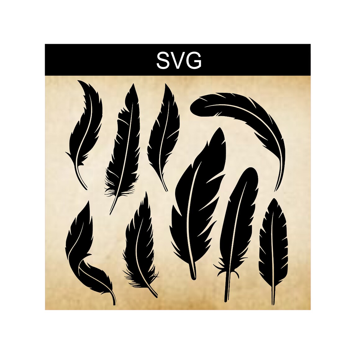 SVG Feather Bundle Digital Clip Art Feather Silhouettes | Etsy