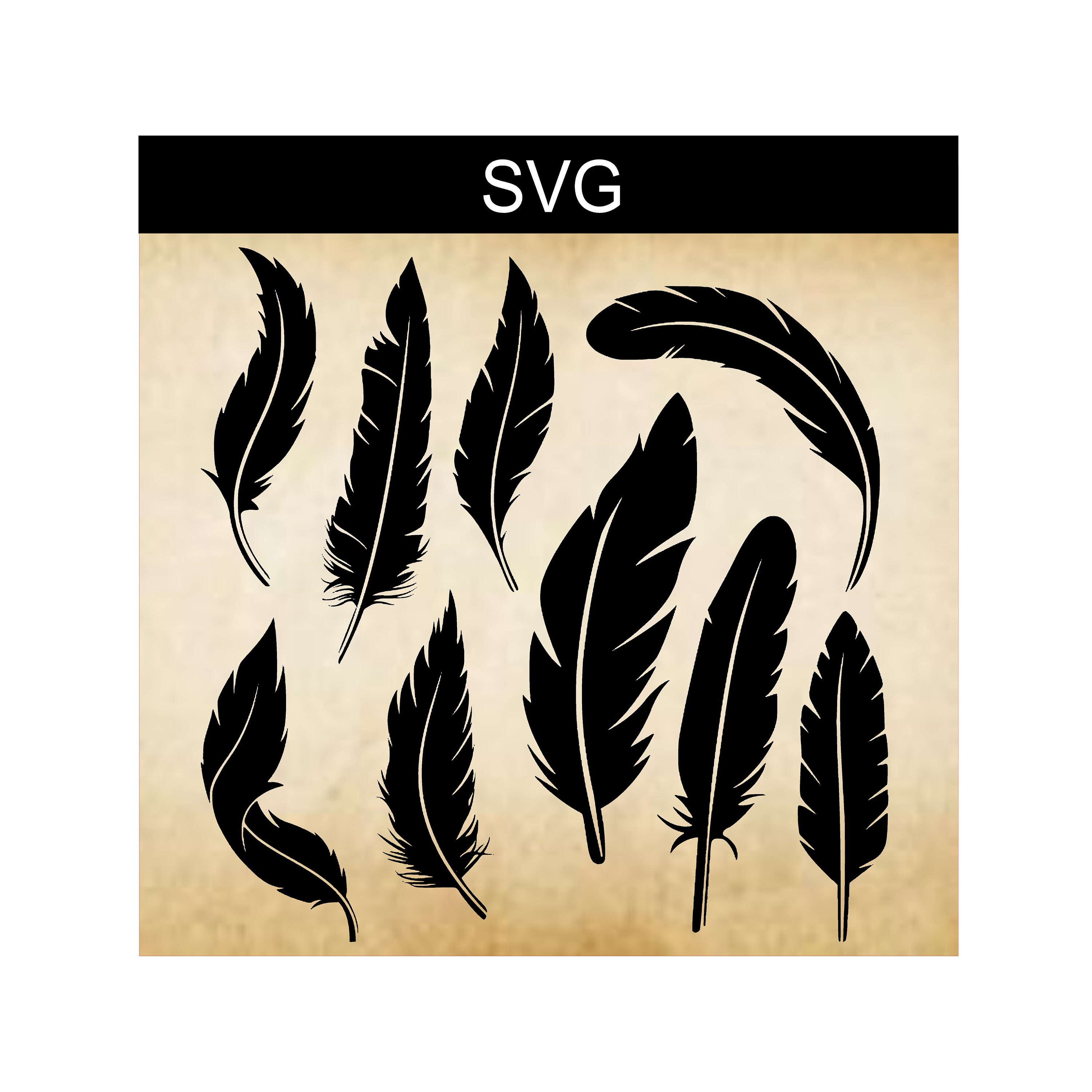 SVG Feather Bundle Digital Clip Art Feather Silhouettes | Etsy