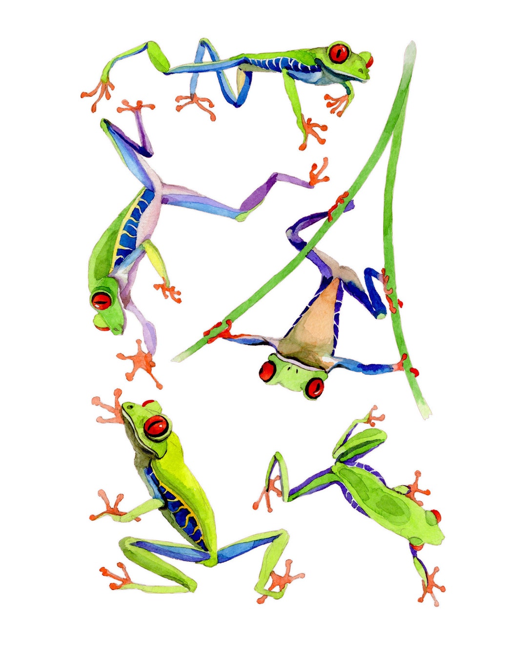 Red Eyed Frog Fabric Wall Decals: Removable Nursery & Playroom Decor - Etsy