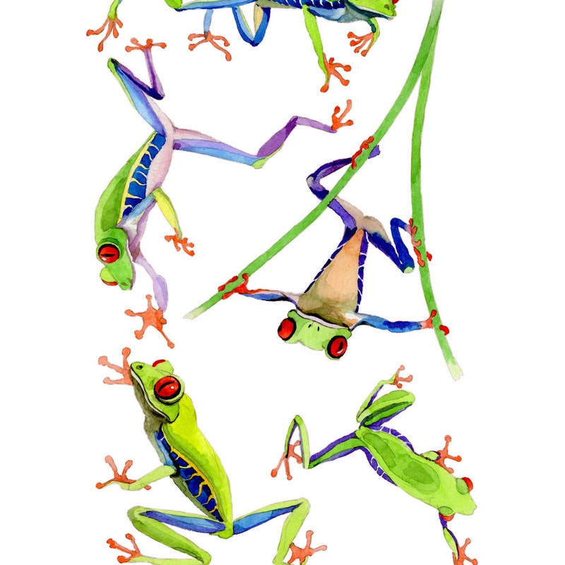 Frog Wall Decal - Etsy