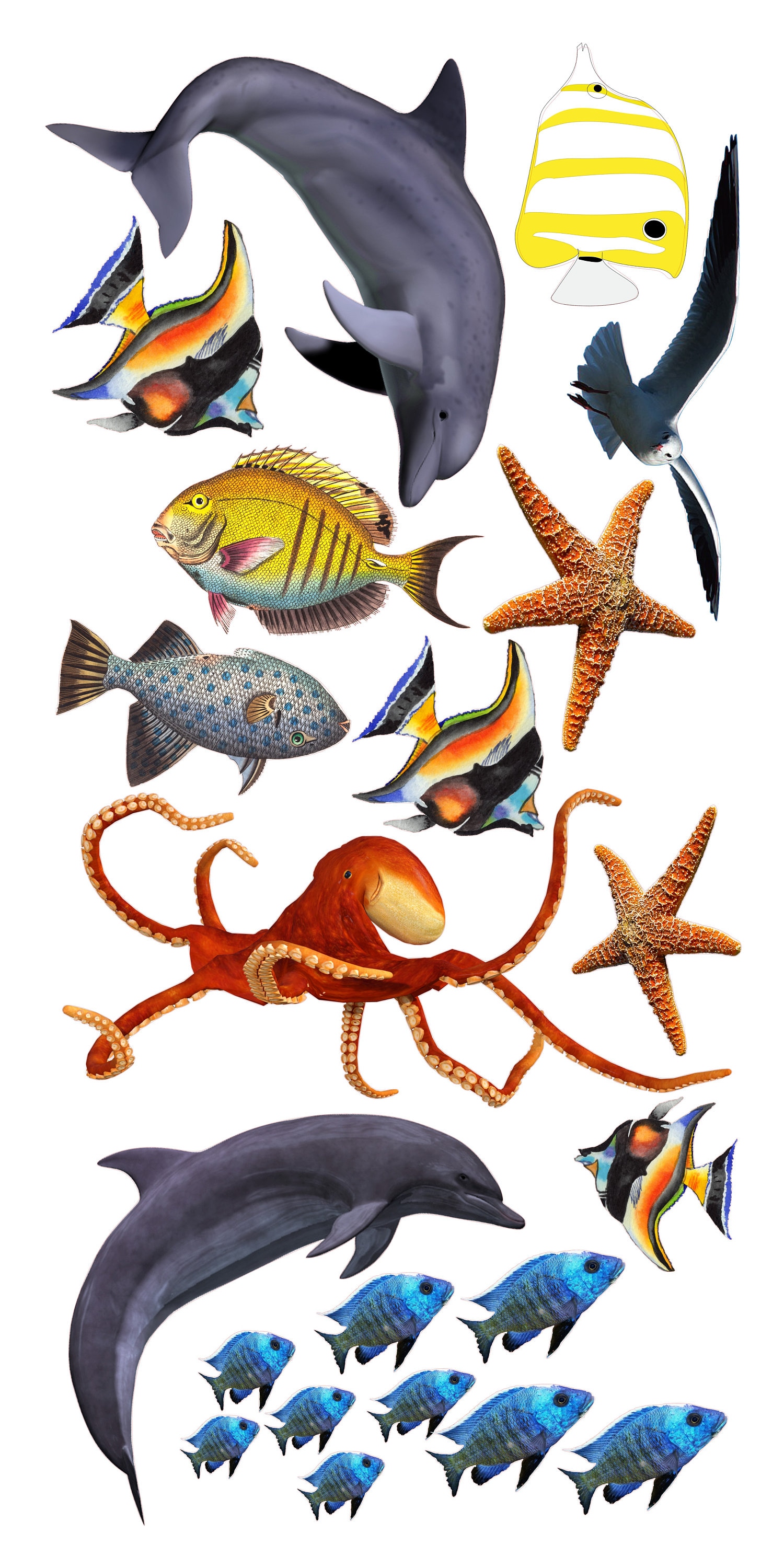 Sea Life Wall Decals Ocean Life Decals Tropical Wall Decor | Etsy